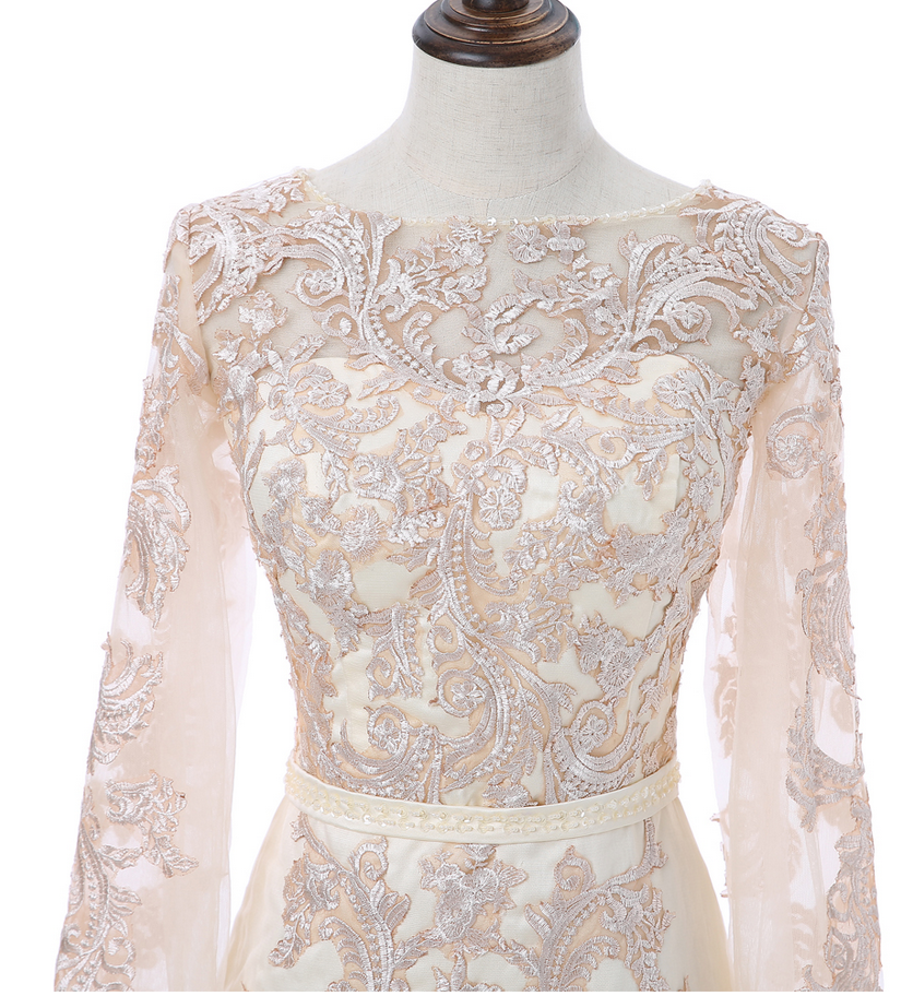 Dress In A Bathrobe In The Evening Dress Of A Mermaid Lace Gown With ...